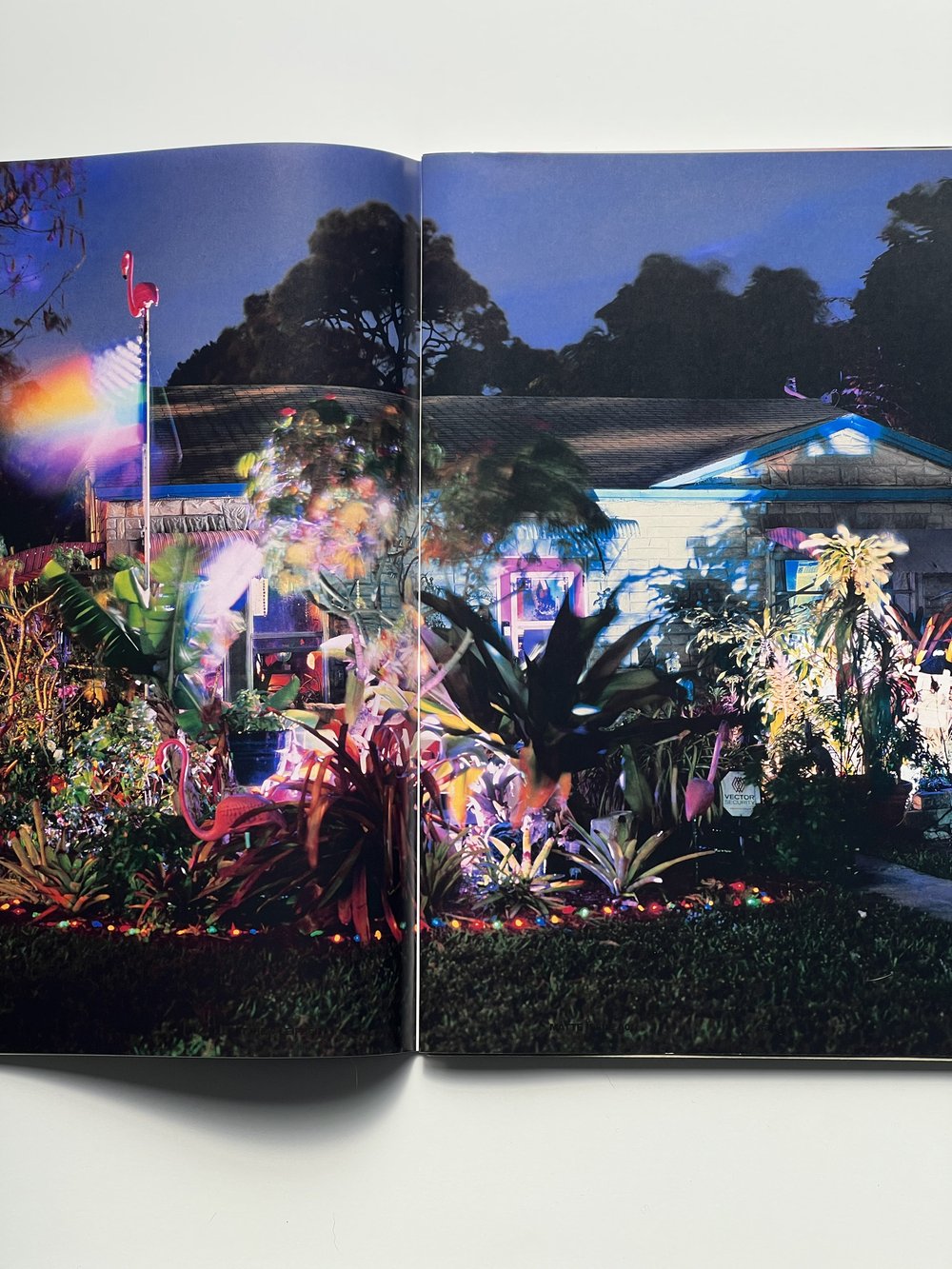 Matte: brady good by matthew leifheit – CULTUREEDIT