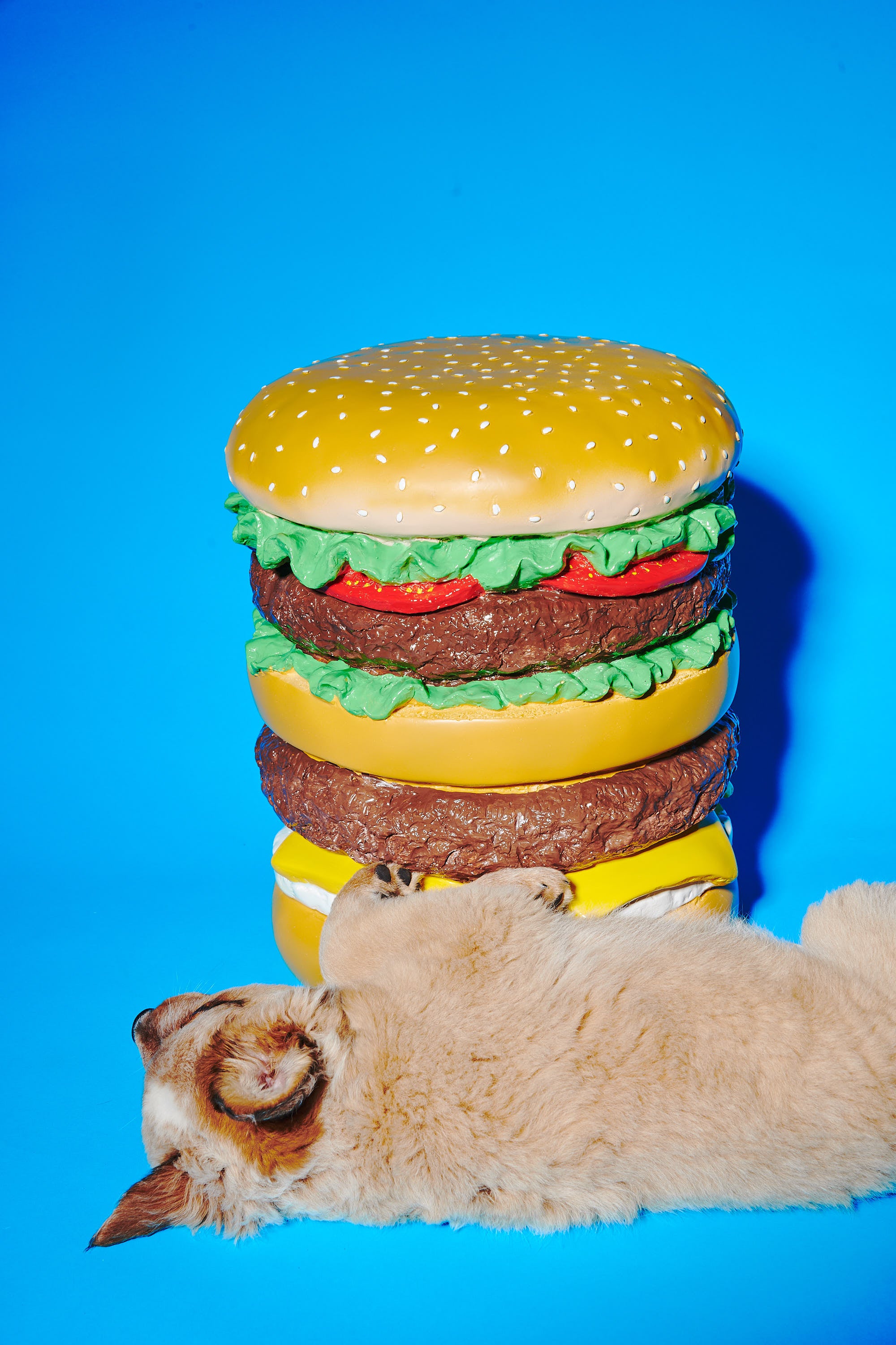 Giant hamburger stool by third drawer down – CULTUREEDIT